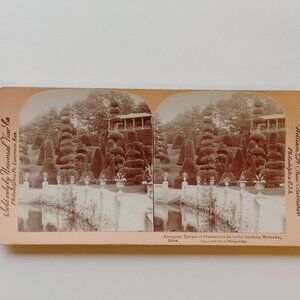 Stereograph | Accents | Antique Stereograph Card Evergreen Terrace Of ...